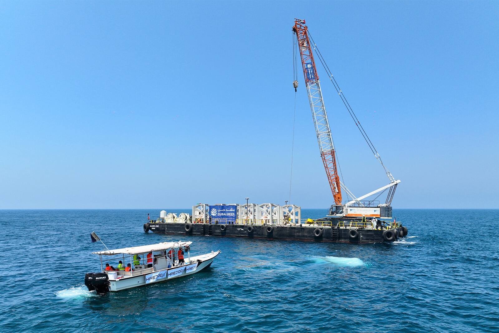 Dubai Reef, A Sustainable Initiative By Dubai Can | Visit Dubai